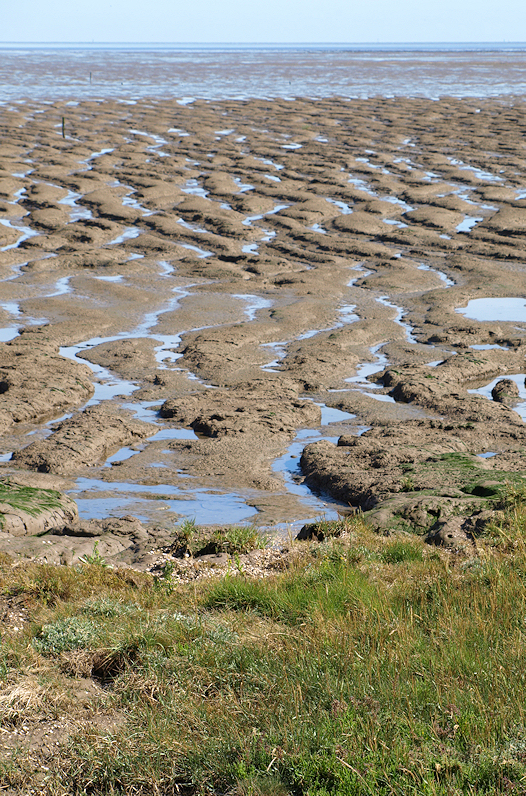 25. Tillingham Marshes to Burnham on Crouch | Ruth's Coastal Walk (UK)
