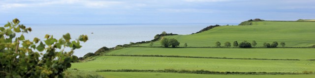 86. Ladram Bay to Exmouth | Ruth's Coastal Walk (UK)