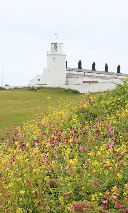 03a Lighthouse, Ruth’s coastal walk, Lizard | Ruth's Coastal Walk (UK)