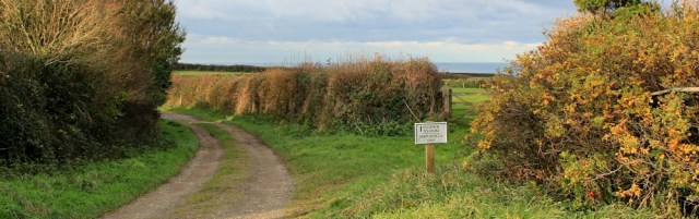 136a Morwenstow to Marsland Mouth | Ruth's Coastal Walk (UK)