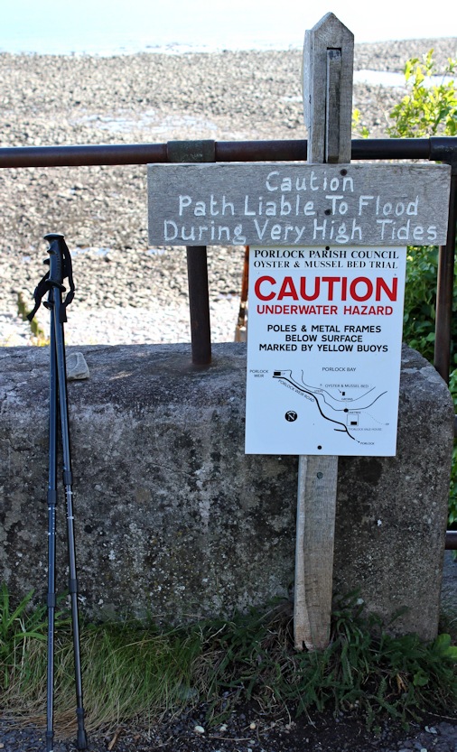 149 Porlock Weir to Hurlstone Point | Ruth's Coastal Walk (UK)