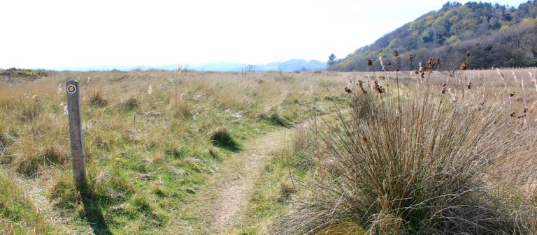 177pm East Cliff to Oxwich Bay | Ruth's Coastal Walk (UK)