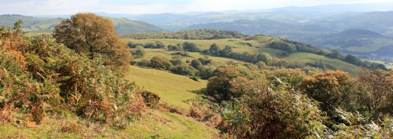 215 Machynlleth to Aberdyfi | Ruth's Coastal Walk (UK)