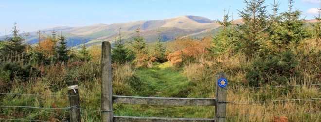215 Machynlleth to Aberdyfi | Ruth's Coastal Walk (UK)