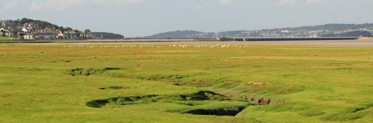 276 Arnside to Grange-over-Sands | Ruth's Coastal Walk (UK)