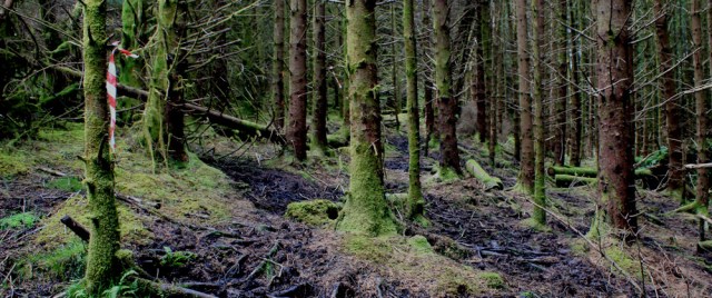 414 am Totaig to Ardintoul | Ruth's Coastal Walk (UK)
