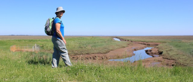 445 Holbeach St Matthew to Fosdyke Bridge | Ruth's Coastal Walk (UK)