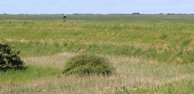 445 Holbeach St Matthew to Fosdyke Bridge | Ruth's Coastal Walk (UK)