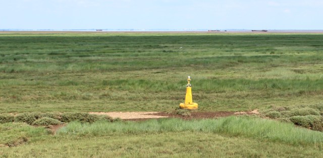 444 Gedney Drove End to Holbeach St Matthew | Ruth's Coastal Walk (UK)