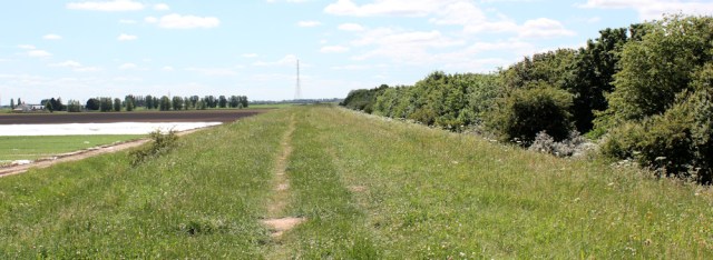 445 Holbeach St Matthew to Fosdyke Bridge | Ruth's Coastal Walk (UK)