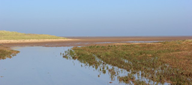 455a Saltfleet to Donna Nook | Ruth's Coastal Walk (UK)