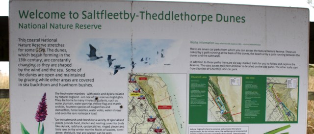 454 pm to Saltfleet | Ruth's Coastal Walk (UK)