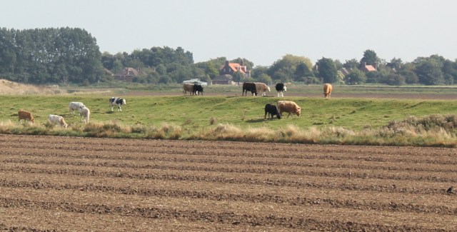 456pm Donna Nook to Tetney Lock | Ruth's Coastal Walk (UK)