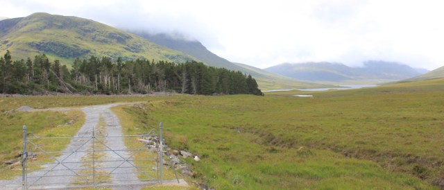 472 to Braemore Junction and Lael Forest Garden | Ruth's Coastal Walk (UK)