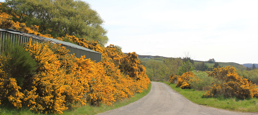 Ruth's Coastal Walk (UK) | Coastalwalker.co.uk – walking around the ...