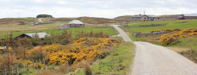 504a Strathy Point to Strathy Bay | Ruth's Coastal Walk (UK)