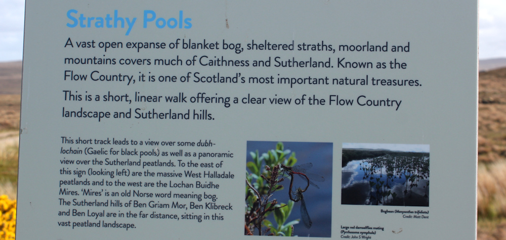 503b Armadale Bay to Strathy | Ruth's Coastal Walk (UK)