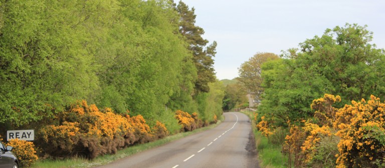 506a Reay and Sandside Head | Ruth's Coastal Walk (UK)