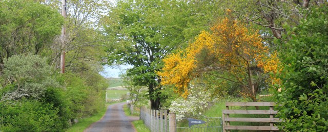 506a Reay and Sandside Head | Ruth's Coastal Walk (UK)