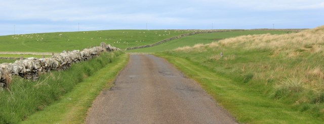 506a Reay and Sandside Head | Ruth's Coastal Walk (UK)
