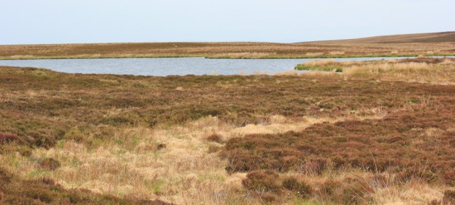 505b Melvich to nearly Reay | Ruth's Coastal Walk (UK)