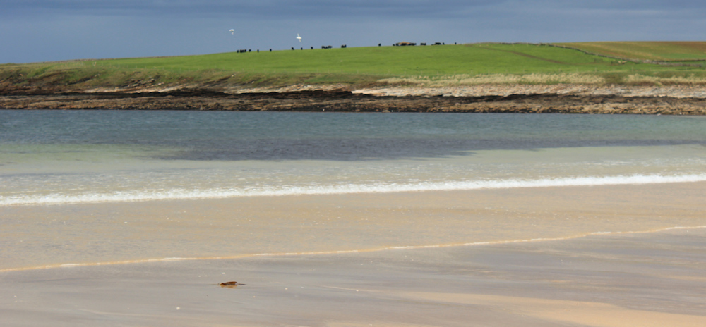 506b Sandside Bay | Ruth's Coastal Walk (UK)