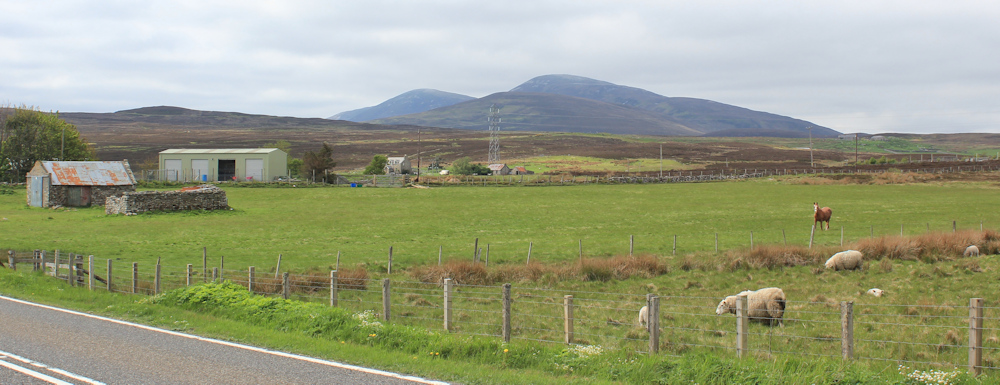 523 Dunbeath to Berriedale | Ruth's Coastal Walk (UK)