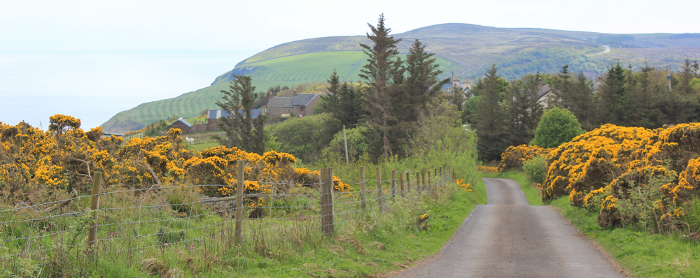 523 Dunbeath to Berriedale | Ruth's Coastal Walk (UK)
